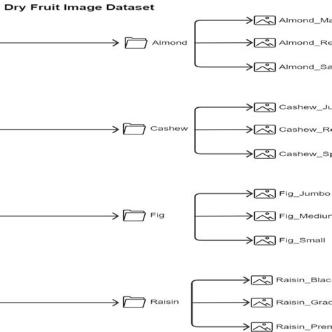 Dry Fruit Dataset Directory Structure Download Scientific Diagram