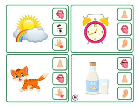 Развивающие игры для детей "Органы чувств" | Preschool learning ...