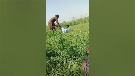 ایک لڑکا دوسرے لڑکا کی بونڈ مار رہ ہے دیکھو اس ویڈیو میں بچے اس ویڈیو