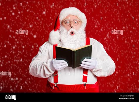 Portrait Of His He Attractive Wise Funny Amazed Fat White Haired Santa