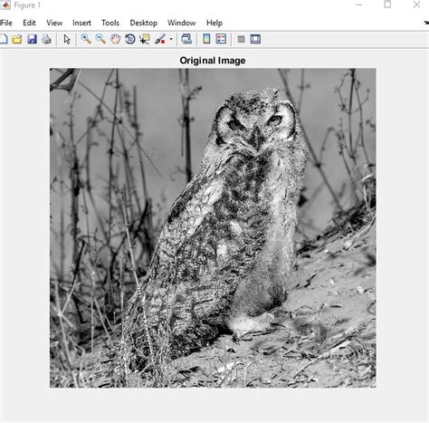 Morphological Filtering Digital Image Processing Matlab With Code