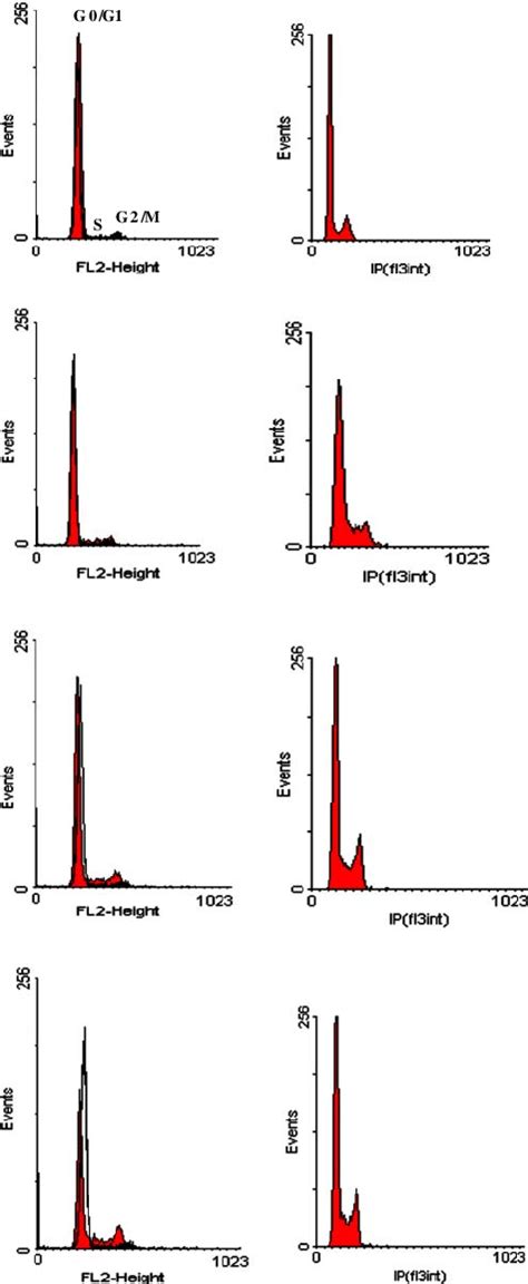 Cell Cycle Analysis By Flow Cytometry Representative Cell Cycle Download Scientific Diagram