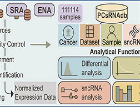 Seuratextend Streamlining Single Cell Rna Seq Analysis Through An Integrated And Intuitive