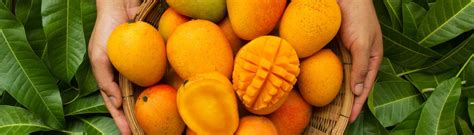 Mangoes And Mango Products Testing Inspection And Certification