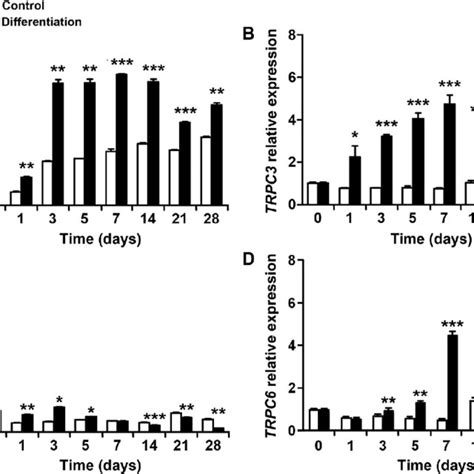 Expression Of Osteoblast Differentiation Factors During Osteoblast Download Scientific Diagram