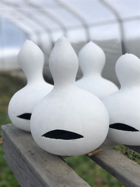 Organic Birdhouse Gourd Seeds Northern Seeds