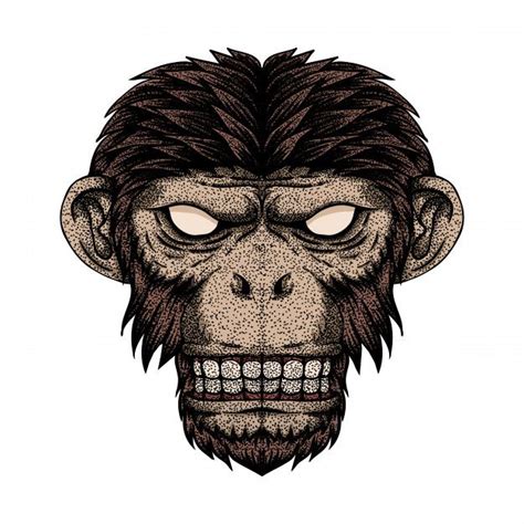 Scary Monkey Face