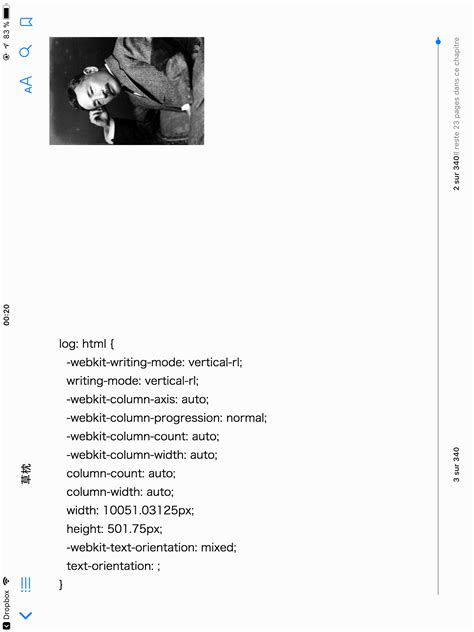 vertical writing · issue 19 · readium readium css · github