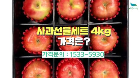 신바람 농산물 협력업체 판매상품 사과선물세트 4kg 보자기포장 중고트랙터 중고농기계 경운기 관리기 스키로더 굴삭기 화물트럭 매매 직거래 장터 사이트 Youtube