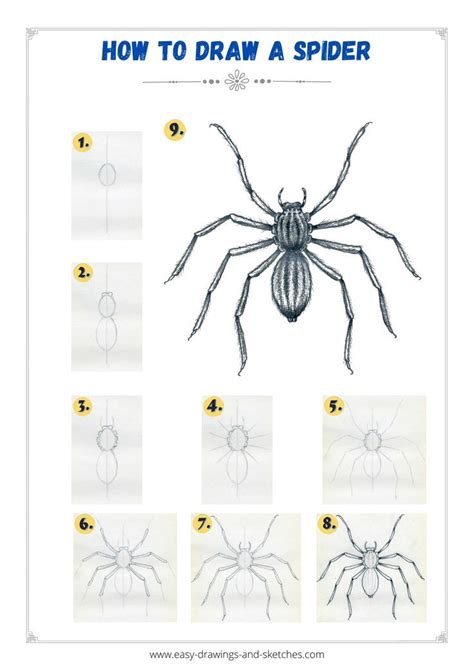 How To Draw A Spider Spider Drawing Drawing Tutorial Diy Canvas Art Painting