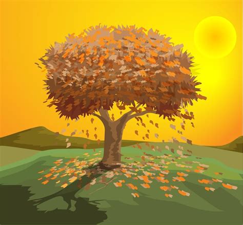 Premium Vector A Deciduous Tree At Sunset In Autumn