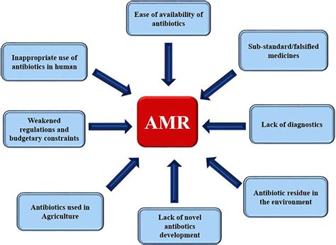 Diagrammatic Representation Of Factors Contributing To Amr Development