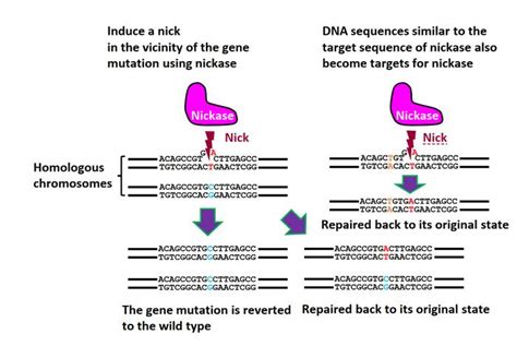 Fig 2 [image] Eurekalert Science News Releases