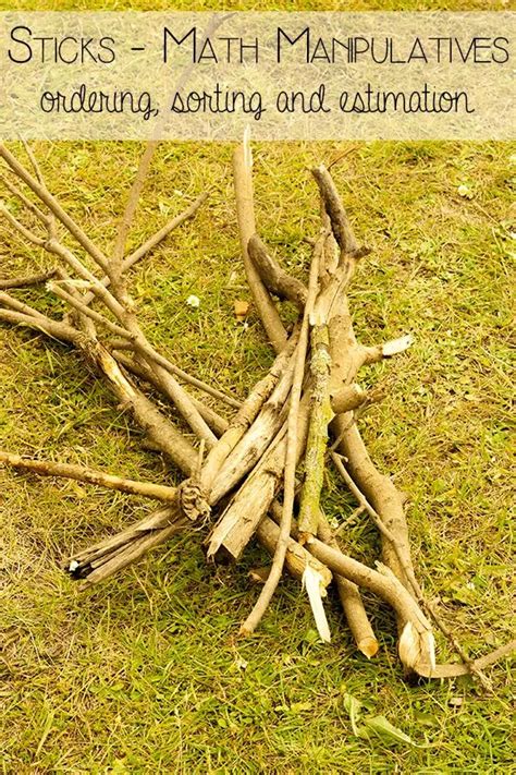 Camping Themed Stem Activities Hess Un Academy