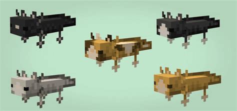 Minimitos Axolotls Texture Pack Mcpe 1minecraft