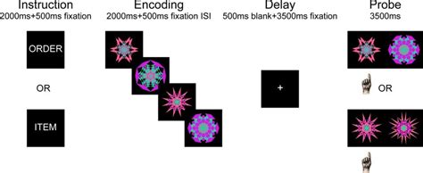 Schematic Diagram Of The Working Memory Tasks Download Scientific