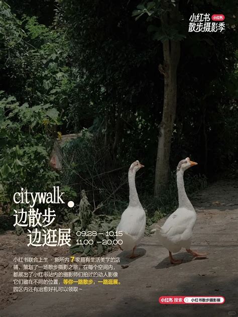 花瓣网 陪你做生活的设计师（创意灵感天堂，搜索、发现设计灵感、设计素材）