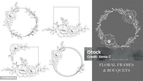양귀비 꽃 라인 아트입니다 꽃 프레임과 꽃다발 라인 아트 미세한 선 양 귀 비 프레임 손으로 그린 그림입니다 손으로 그린 윤곽선 야생화입니다 식물 색칠 공부 페이지 고립된