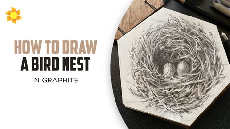 Sandy Allnock How To Draw A Bird Nest Th Sandy Allnock