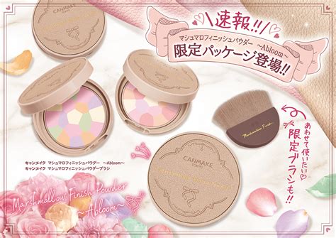 適切な価格 キャンメイク マシュマロフィニッシュパウダーw Mi ブラシ 2点セット