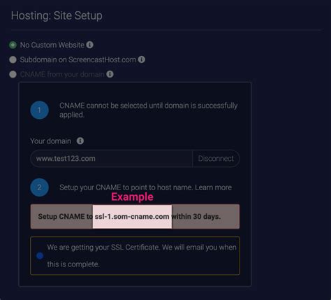 Use A Custom Domain Cname