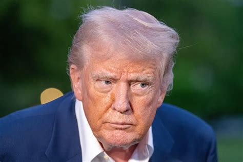 Трамп подтвердил что проработка встречи Путина и Зеленского уже идёт