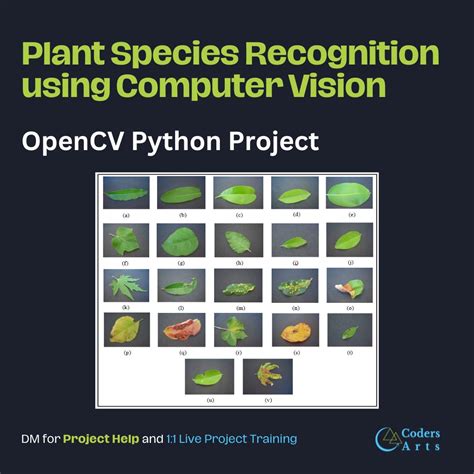 Learn About Plant Species Recognition With Opencv Codersarts Posted