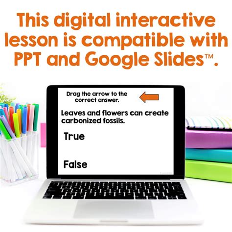fossils lesson interactive