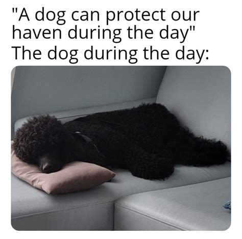 732 Best R Vtm Images On Pholder No Descendant Of Mine Is Going To Be A Bad Host