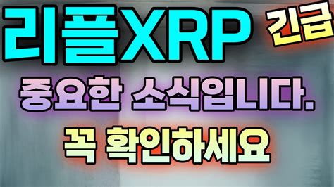 리플 중요한 소식 전달합니다 리플 리플코인 Youtube