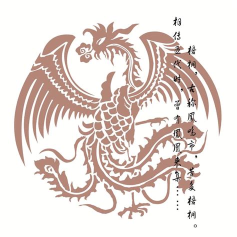 桐乡市人民政府 微信二维码