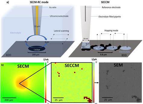 A Scheme Representing The Principle Of Secm And Seccm Techniques B Download Scientific