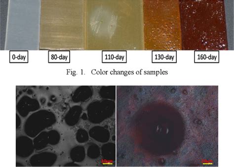Figure 1 From Analysis Of Ac 500kv Xlpe Submarine Cable Insulation