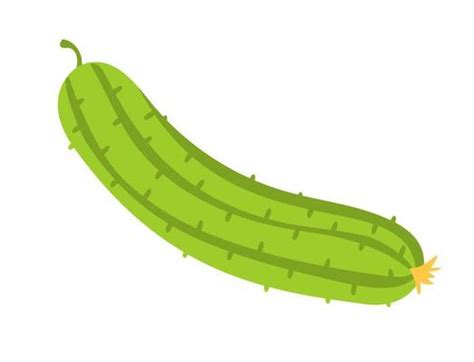 Cucumber Plant Vector Art Icons And Graphics For Free Download