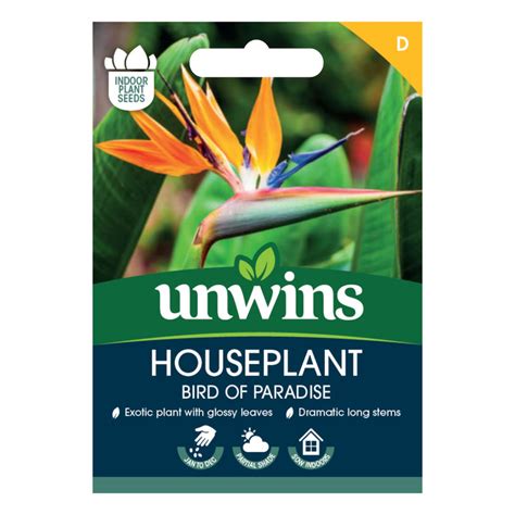 Unwins Houseplant Bird Of Paradise Seeds Indoor Plant Seeds Unwins Uk