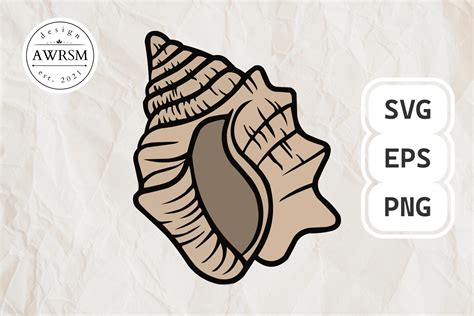 Clamshell Svg Vector Seashell Clipart Graphic By Awrsmdesign · Creative Fabrica