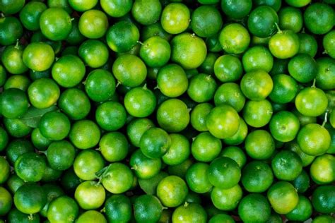 Fundo Verde Limão Foto Premium