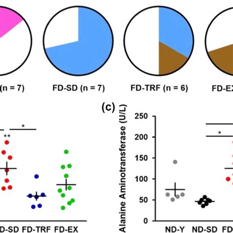 Effect Of Exercise And Time‐restricted Feeding On Tumor Burden And Download Scientific Diagram