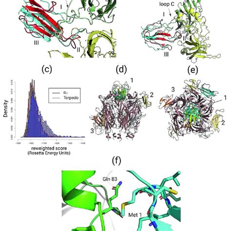 Molecular Docking Simulation Of Rslurp 1 Binding To The T Californica Download Scientific