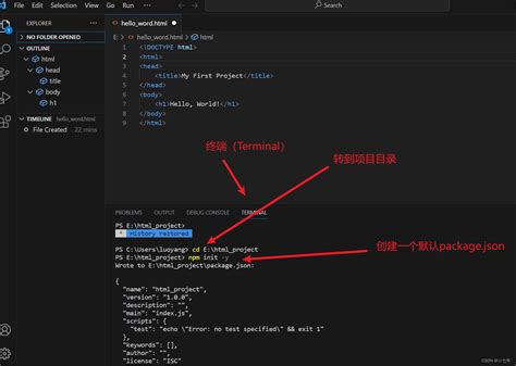 我的第一个前端VS code Node lite server简易服务器npm 运行
