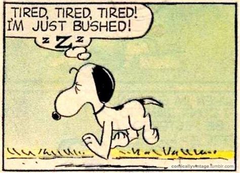 Comically Vintage Snoopy Pictures Charlie Brown And Snoopy Snoopy