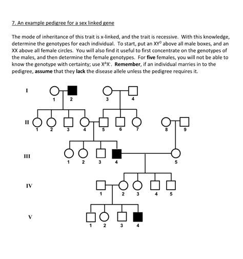 Solved 7 An Example Pedigree For A Sex Linked Gene The Mode