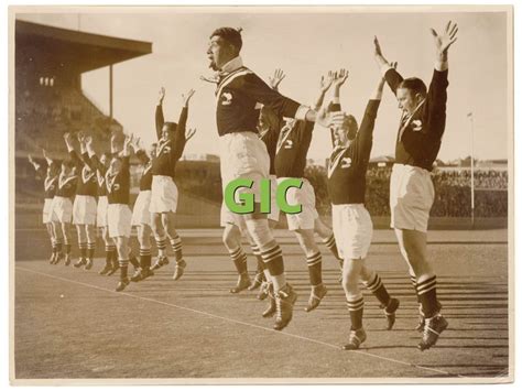 Creampie What Does Creampie Mean Slang Org