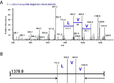 Assignment Of Sequence Tags From Msms Spectrum A Spectrum Collected