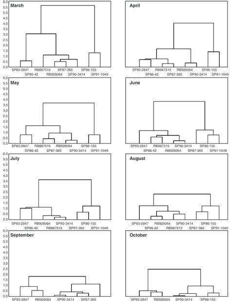 Dendrograms Obtained From Clustering Analysis Using The Hierarchical