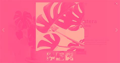 How To Create A Cms Powered Slider Webflow Blog