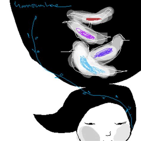 즉시 가서 소유하라 갓피플