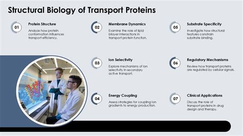 Structural Biology Of Transport Proteins Secondary Active Transport Ppt