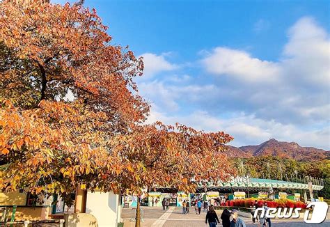 서리 내린다는 상강 수도권 비…아침 최저 5도 쌀쌀[내일날씨] 뉴스1
