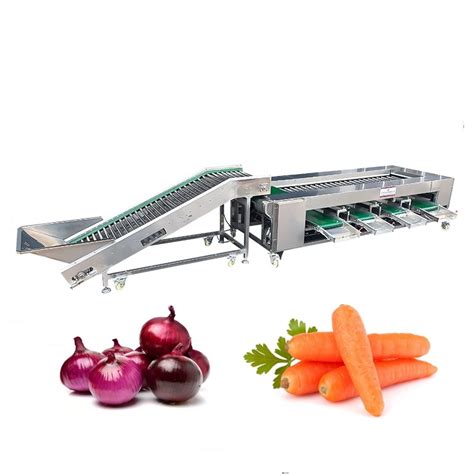 Fruit Waxing Sorting Machine Dragon Fruit Grading Sorting Machine